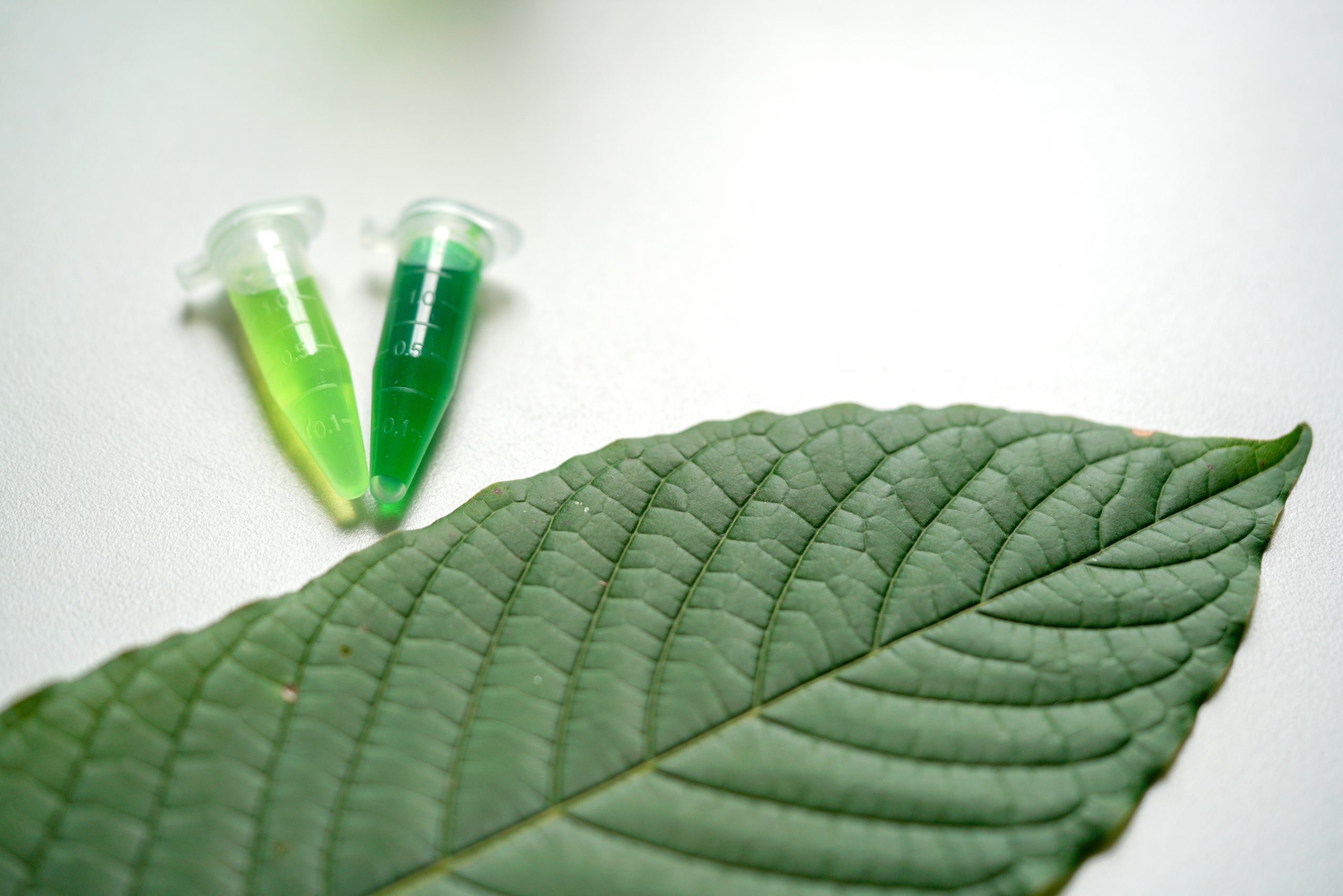 Boutique - Laboratoire Phytotech